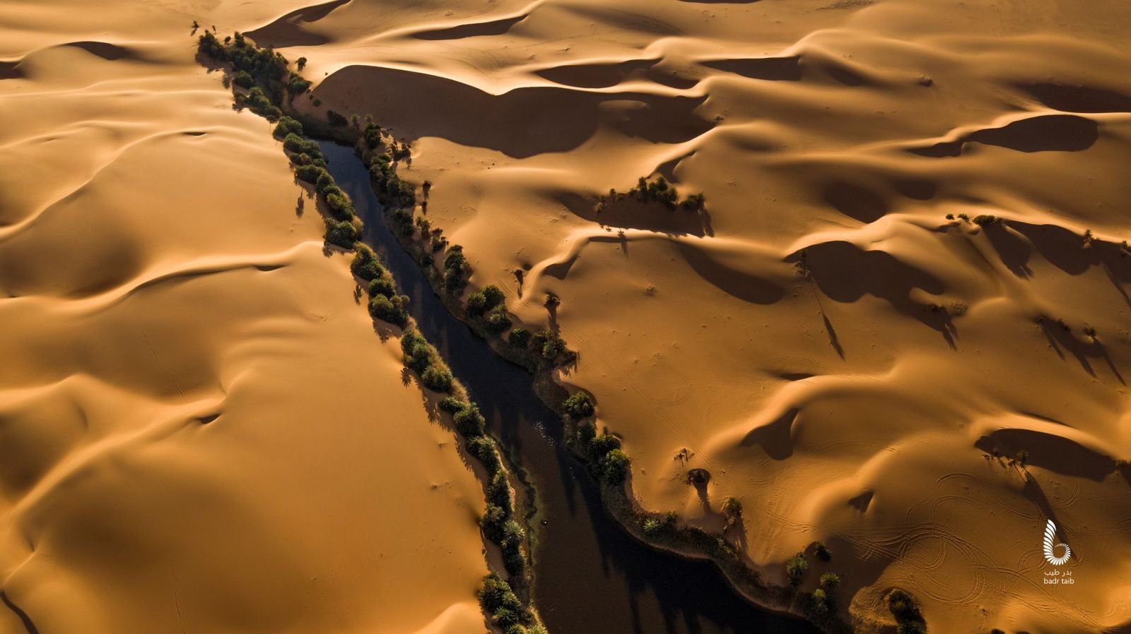 Official Translation in Libya | 100% Free Consultation